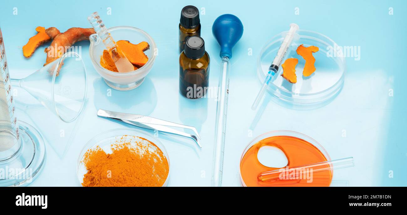 Medicine research of curcuma properties with the help of laboratory ...