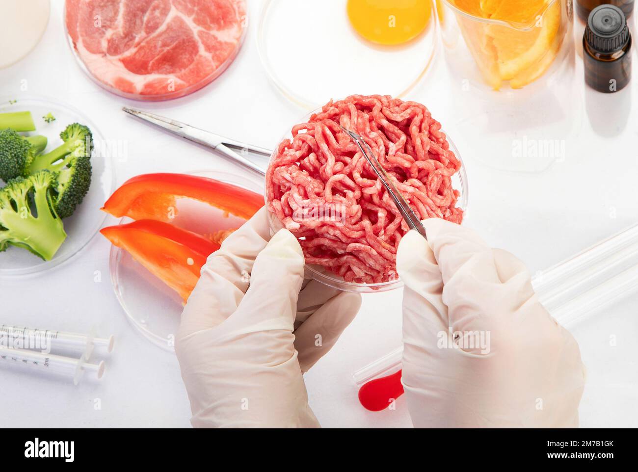 Laboratory assistant in the laboratory of food quality. Cell culture ...