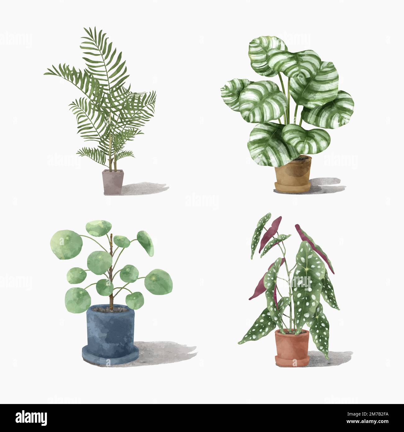 Vector watercolor botanical plant set Stock Vector Image & Art - Alamy