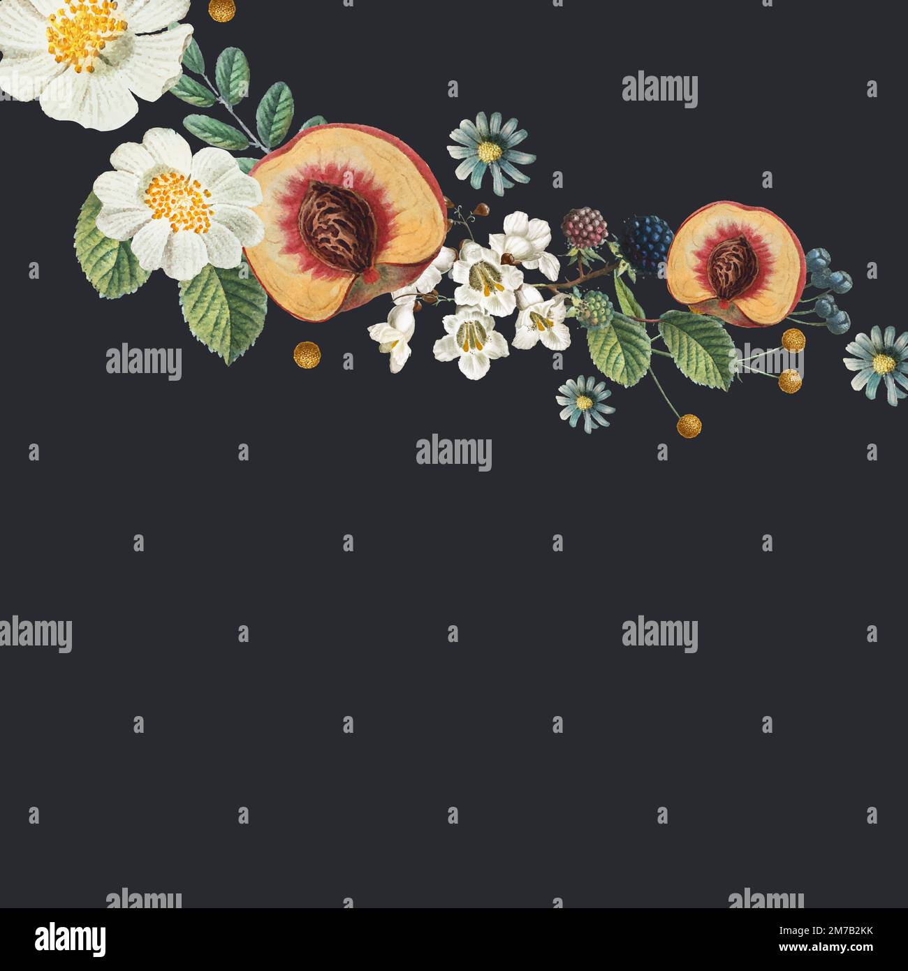 Vector floral black background with design space vintage illustration ...