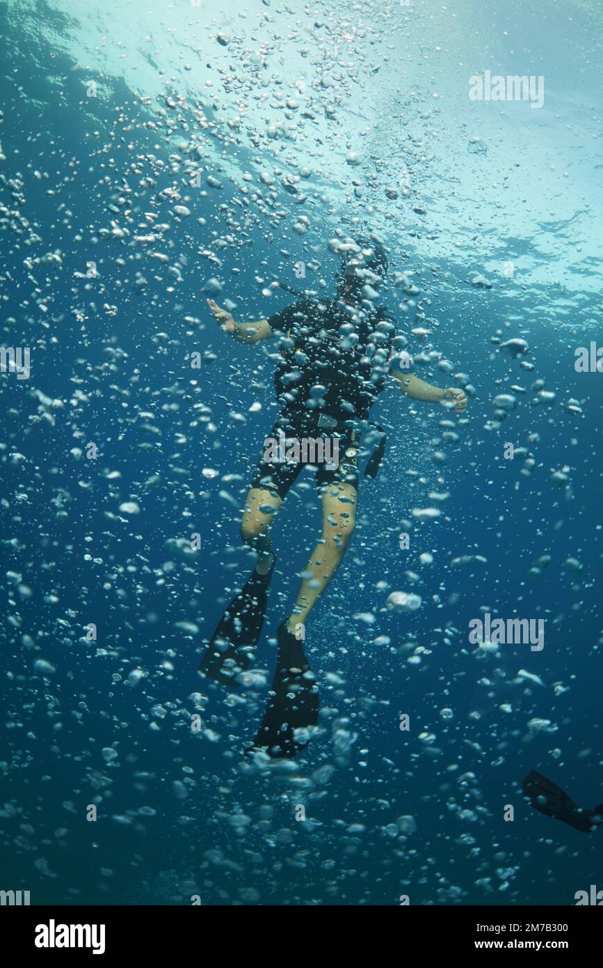 A human during scuba diving in ocean Stock Photo - Alamy