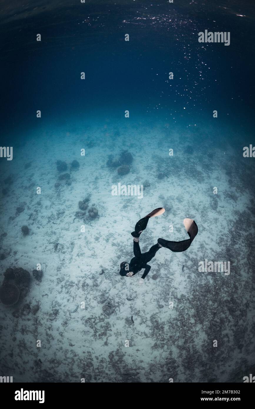 A human during scuba diving in ocean Stock Photo - Alamy