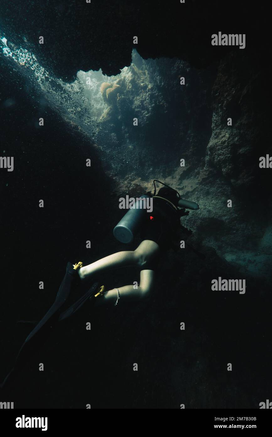 A human during scuba diving in ocean Stock Photo - Alamy