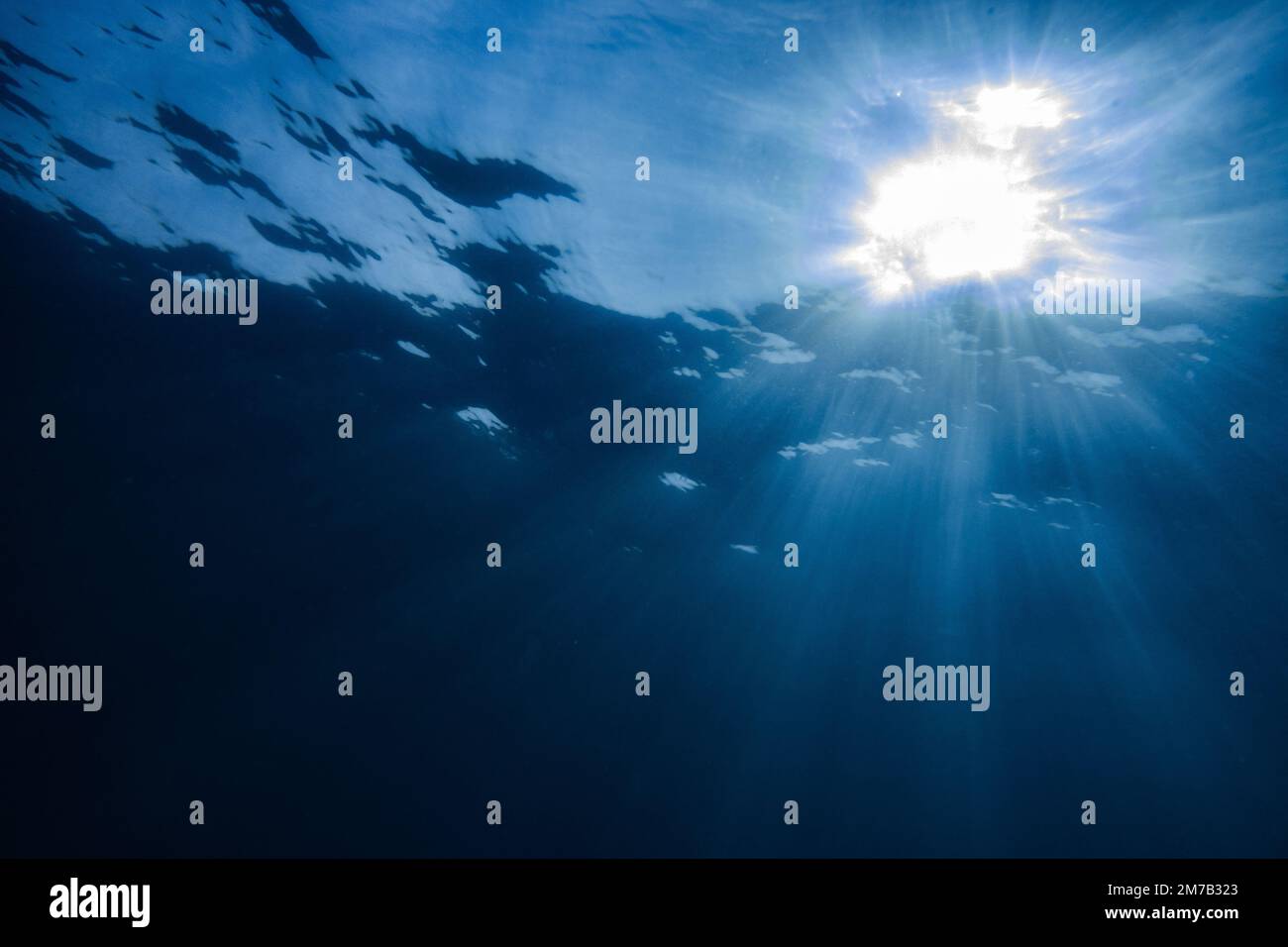 An underwater environment with reflection of sunlight Stock Photo - Alamy