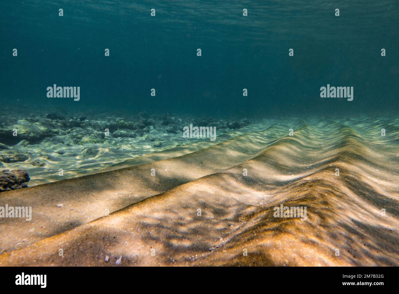 An underwater environment with reflection of sunlight Stock Photo - Alamy