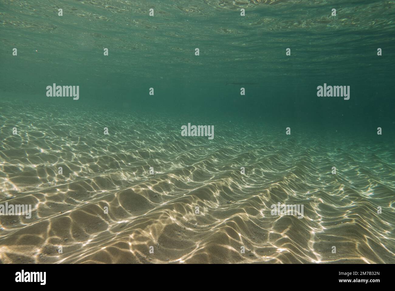 An underwater environment with reflection of sunlight Stock Photo - Alamy
