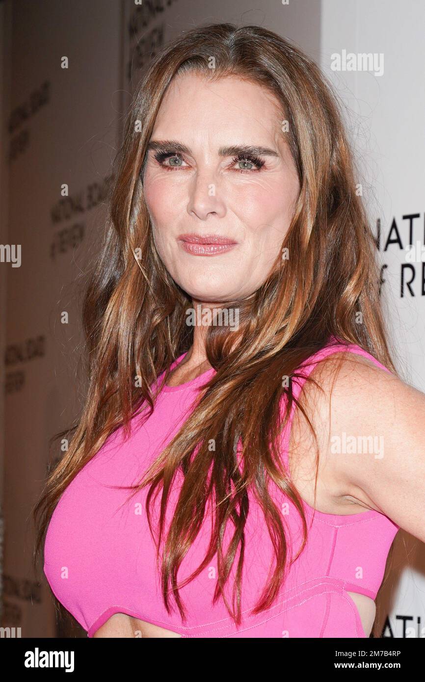 New York, NY, USA. 8th Jan, 2023. Brooke Shields at arrivals for The ...