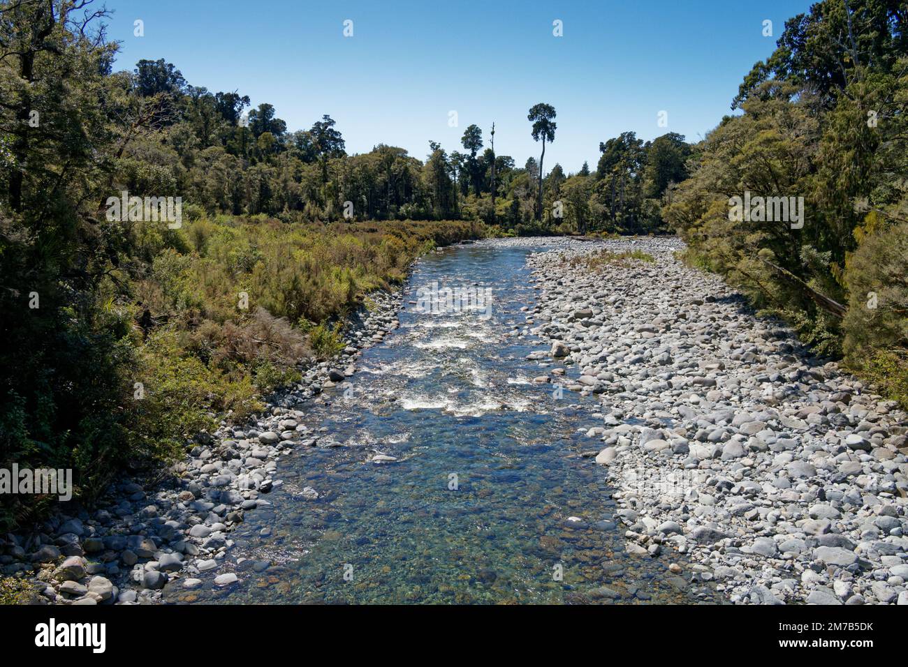 The Brown River at the start of the Heaphy Track. Kahurangi National ...