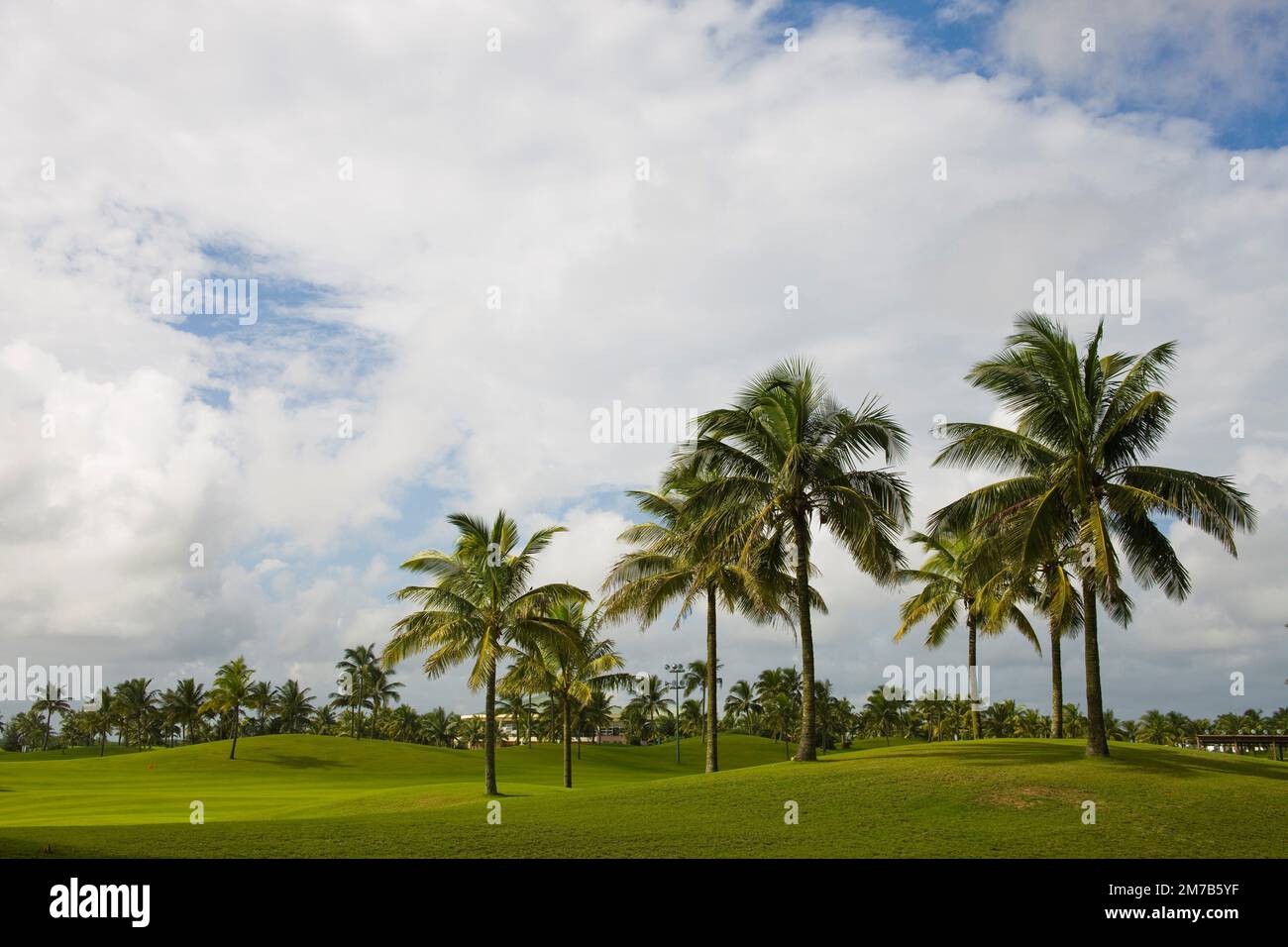 Asia International Convention Center Stock Photo - Alamy