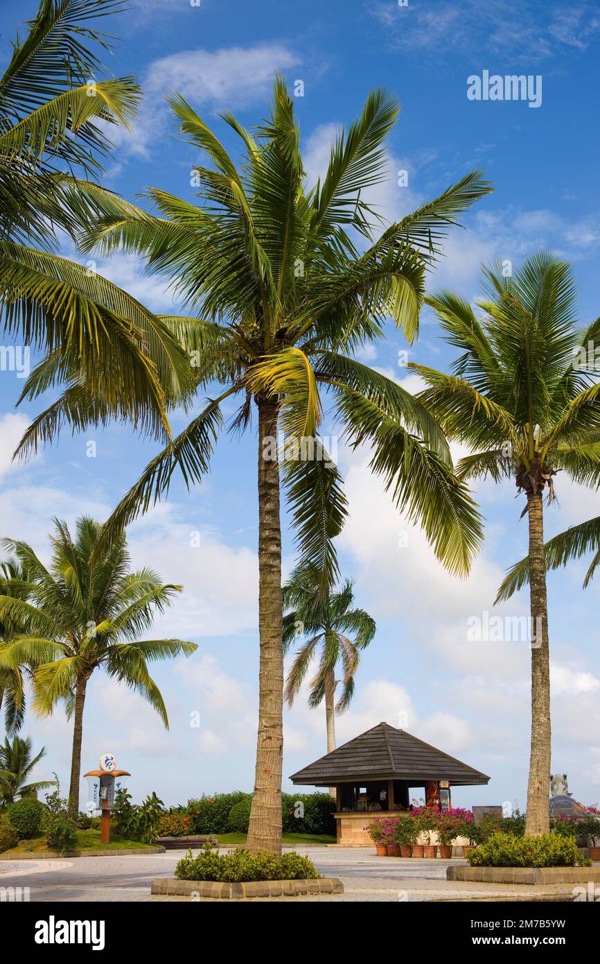 Asia International Convention Center Stock Photo - Alamy