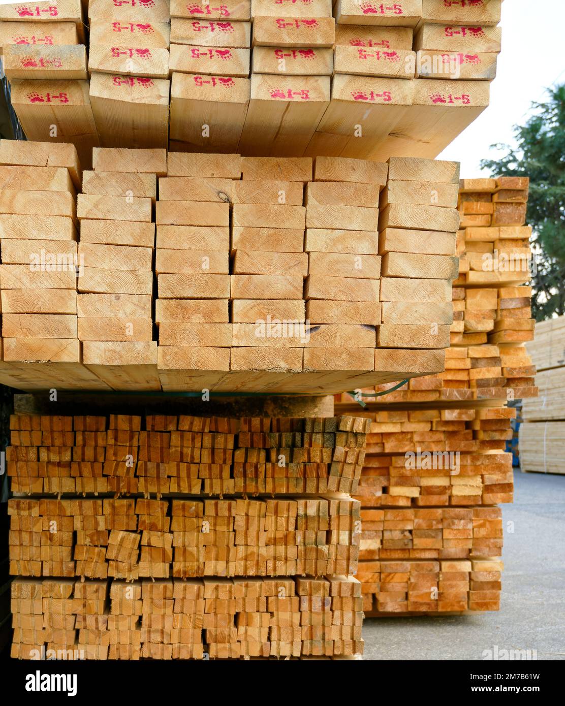 Stacked timber. Timbers ready for sale on the timber site. Withstanding ...