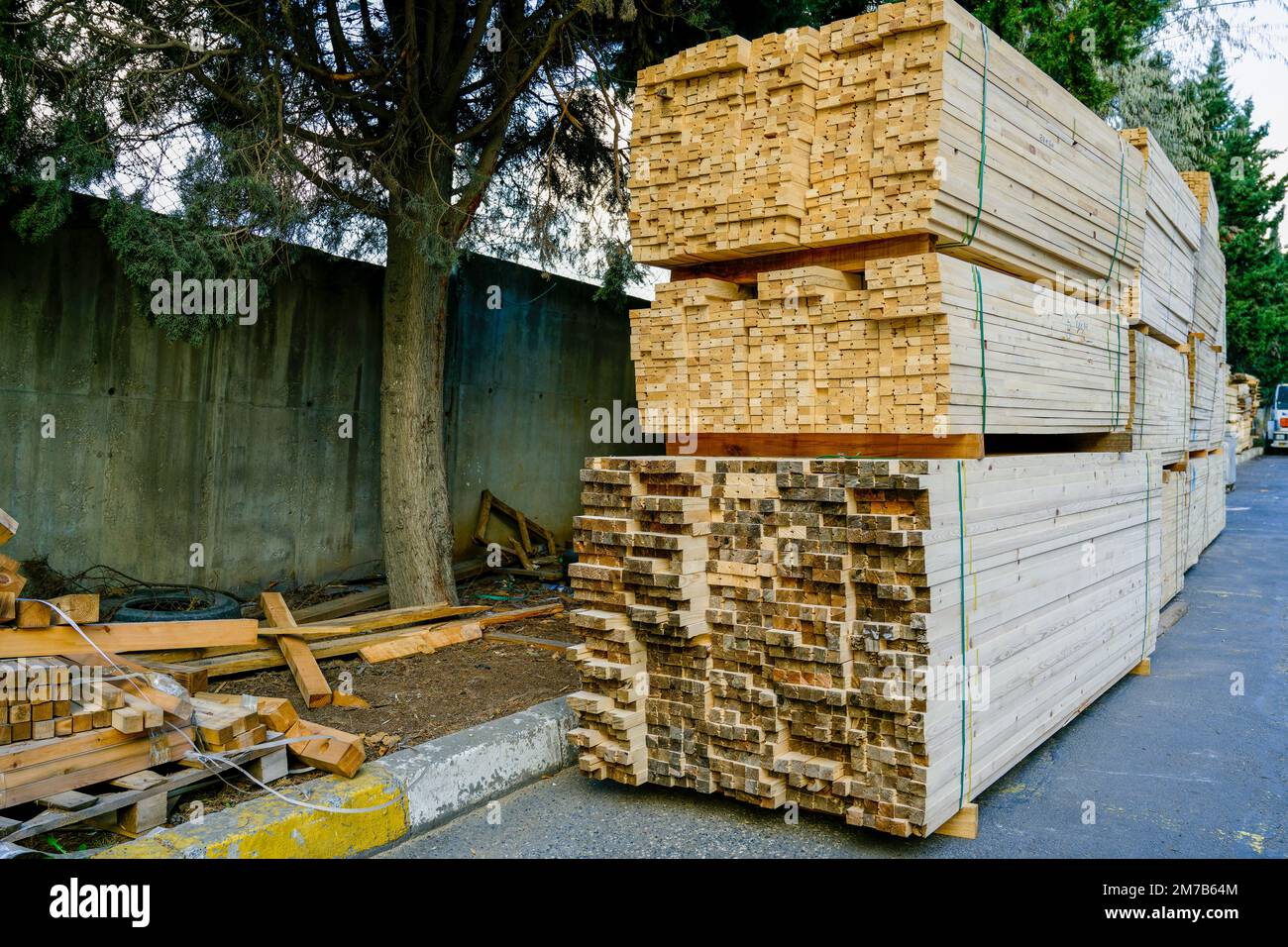 Stacked timber. Timbers ready for sale on the timber site. Withstanding ...