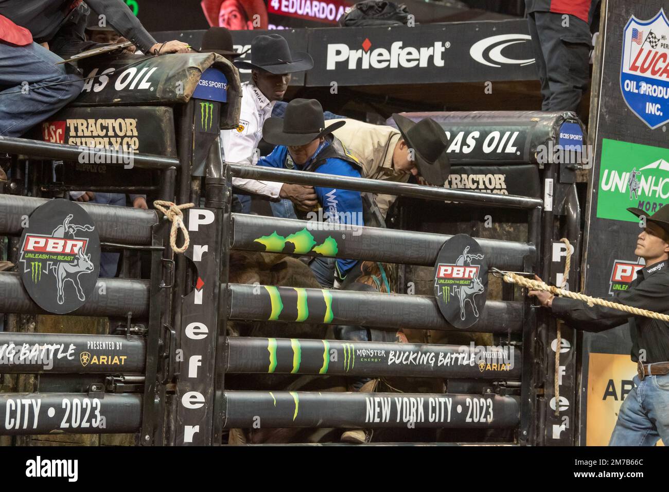 NEW YORK, NEW YORK - JANUARY 08: Dakota Louis rides Smooth Over It ...