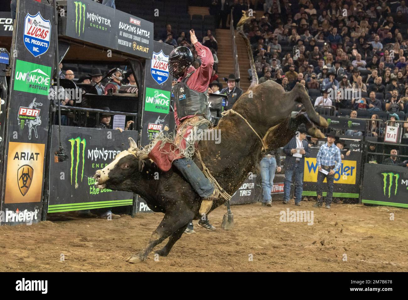 NEW YORK, NEW YORK - JANUARY 08: Wyatt Rogers rides Marciano during ...