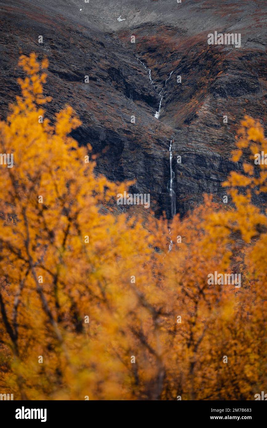 A vertical shot of an autumn forest with rocky mountains and a ...