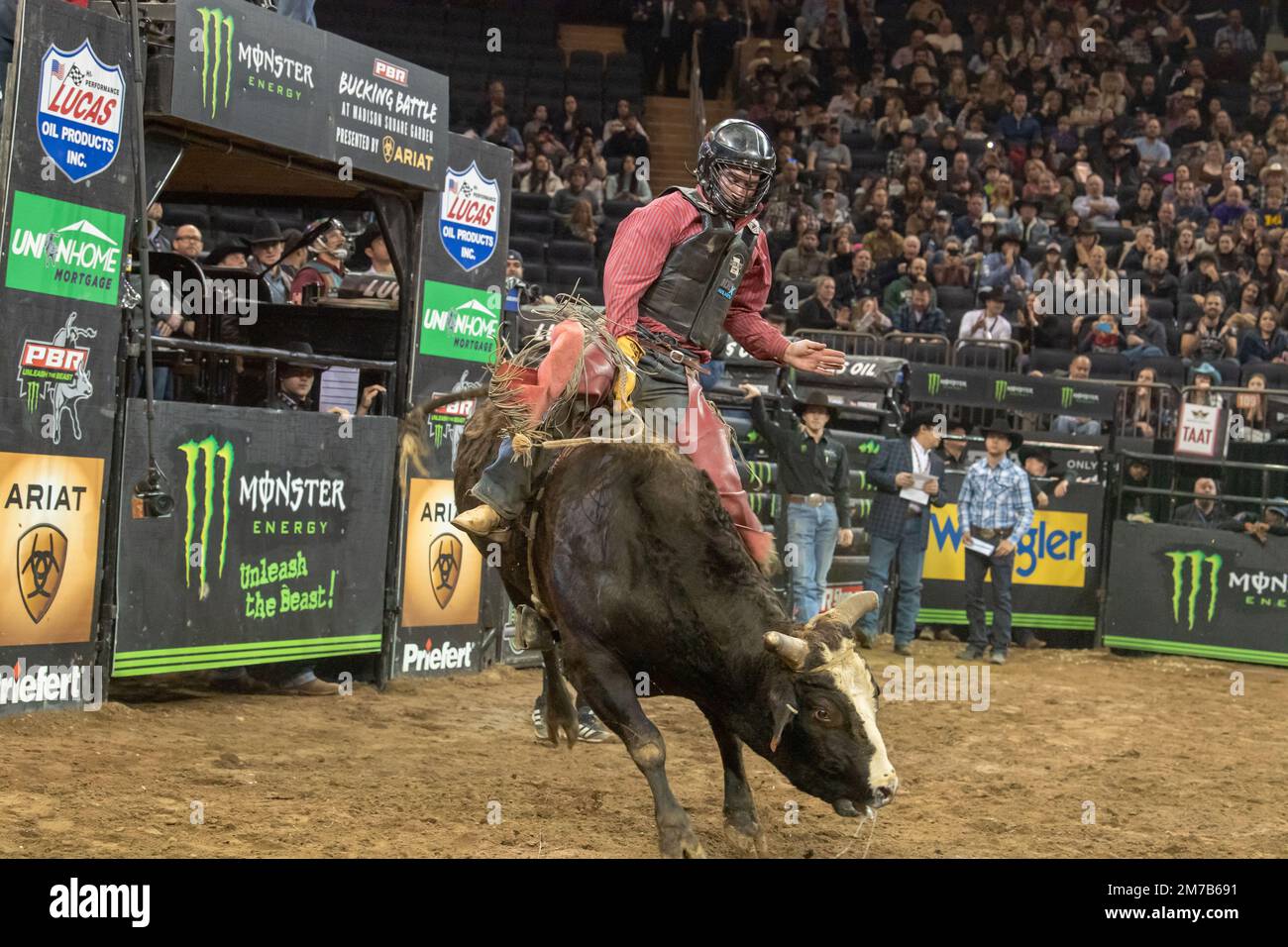 NEW YORK, NEW YORK - JANUARY 08: Wyatt Rogers rides Marciano during ...
