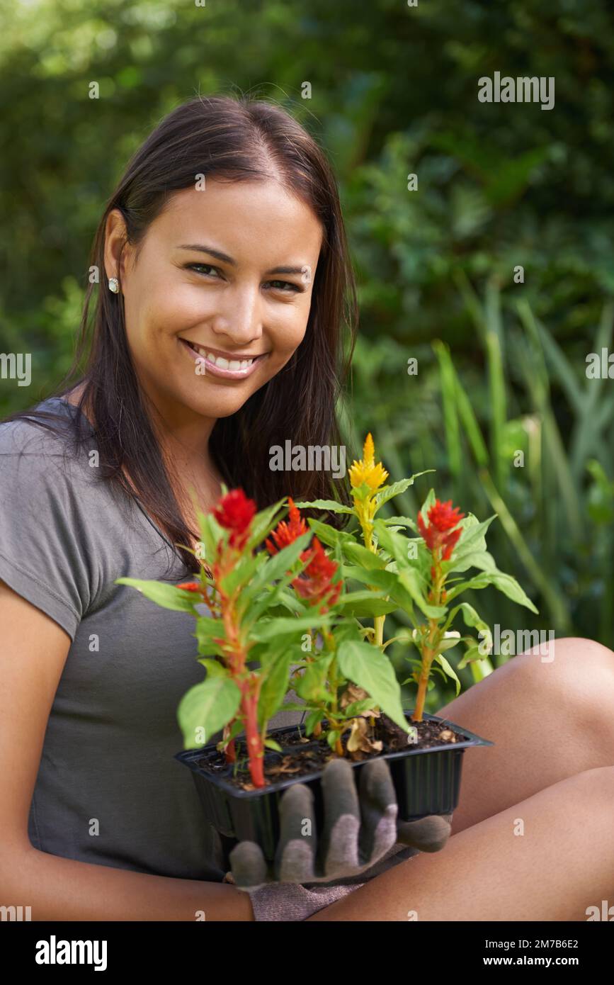 A 6-pack of new seedlings for my garden.. yay. A pretty woman sitting ...