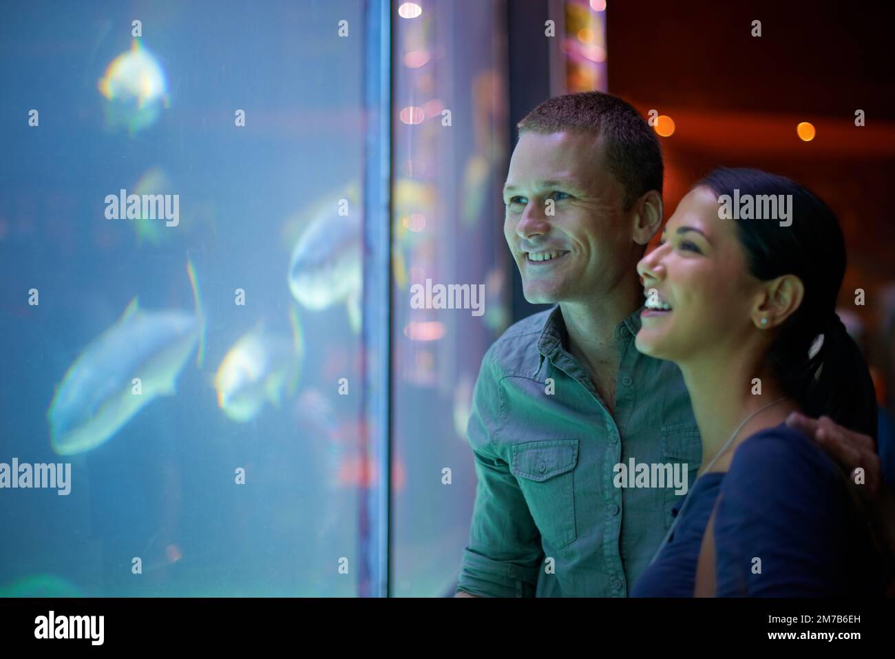 New fish species hi-res stock photography and images - Alamy