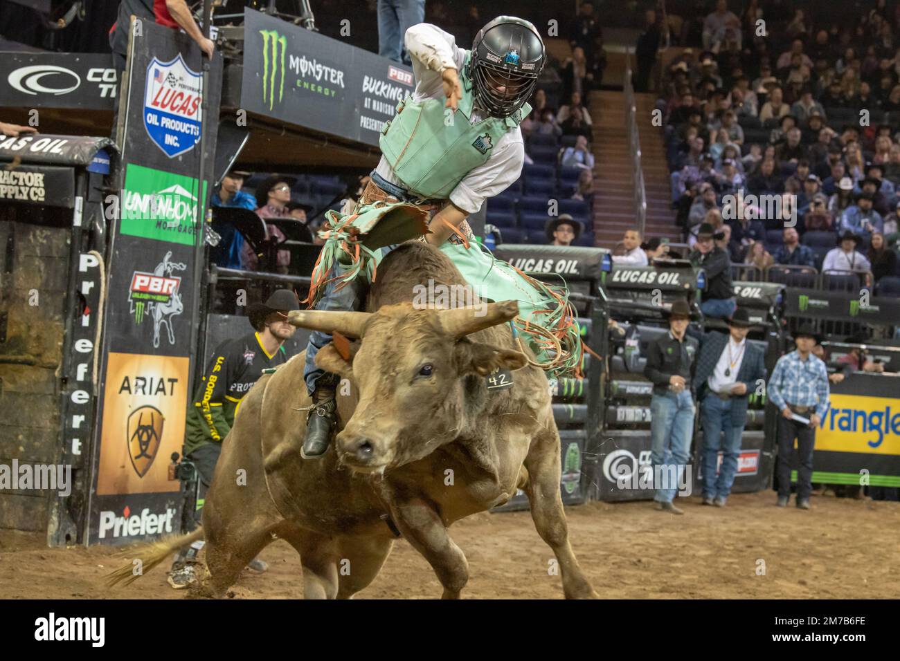 NEW YORK, NEW YORK - JANUARY 08: Thiago Salgado rides Razzmatazz during ...