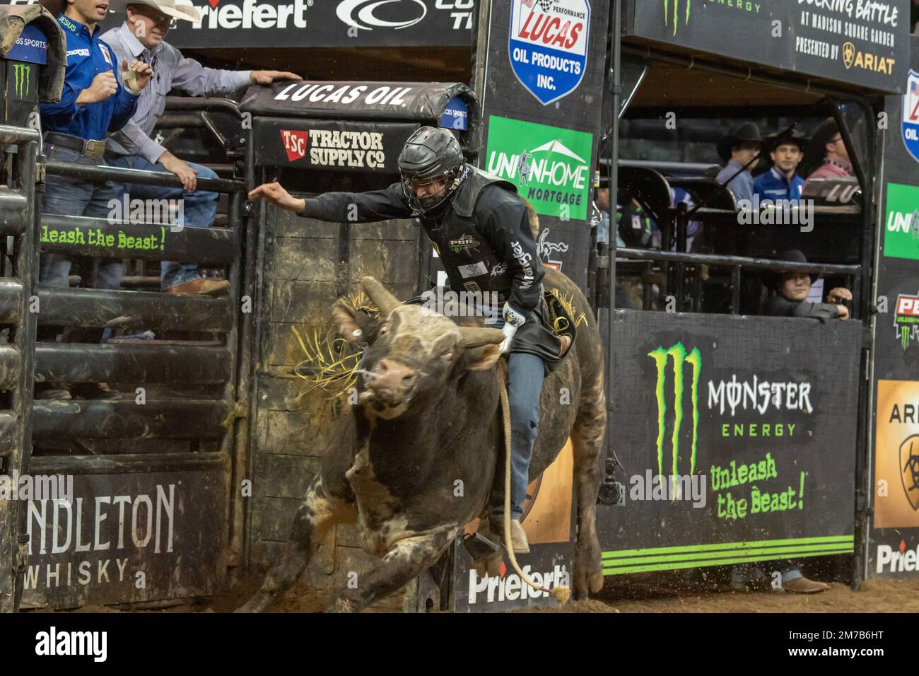 NEW YORK, NEW YORK - JANUARY 08: Dener Barbosa rides Calico Kicking ...