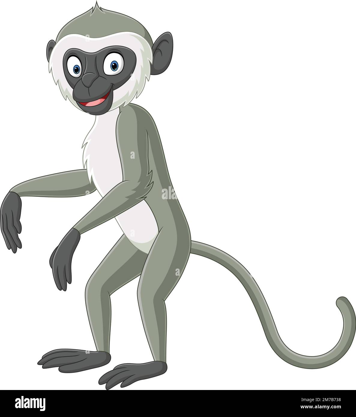 Cute grey langur monkey cartoon Stock Vector Image & Art - Alamy