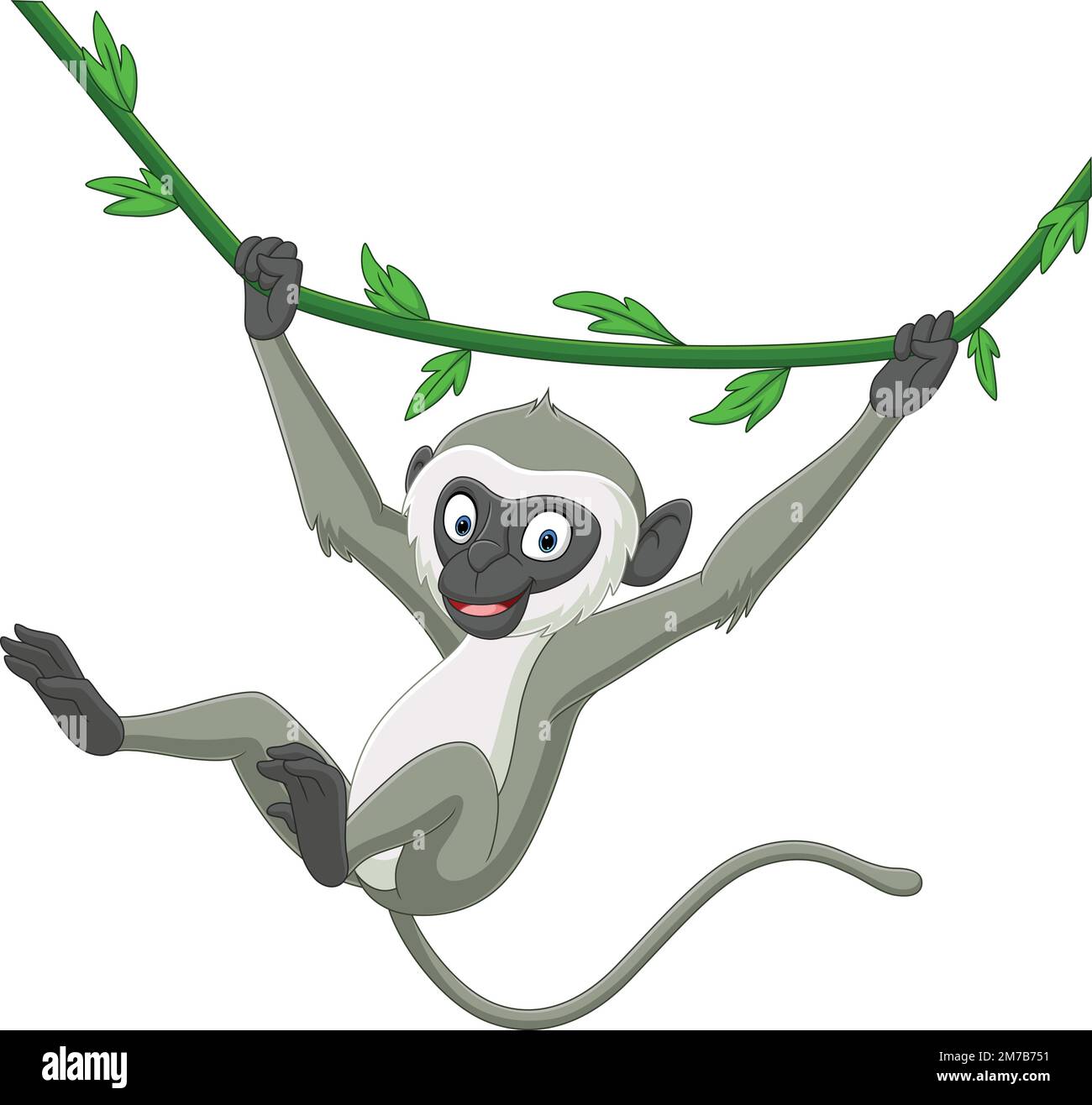 Cute langur monkey cartoon hanging Stock Vector Image & Art - Alamy