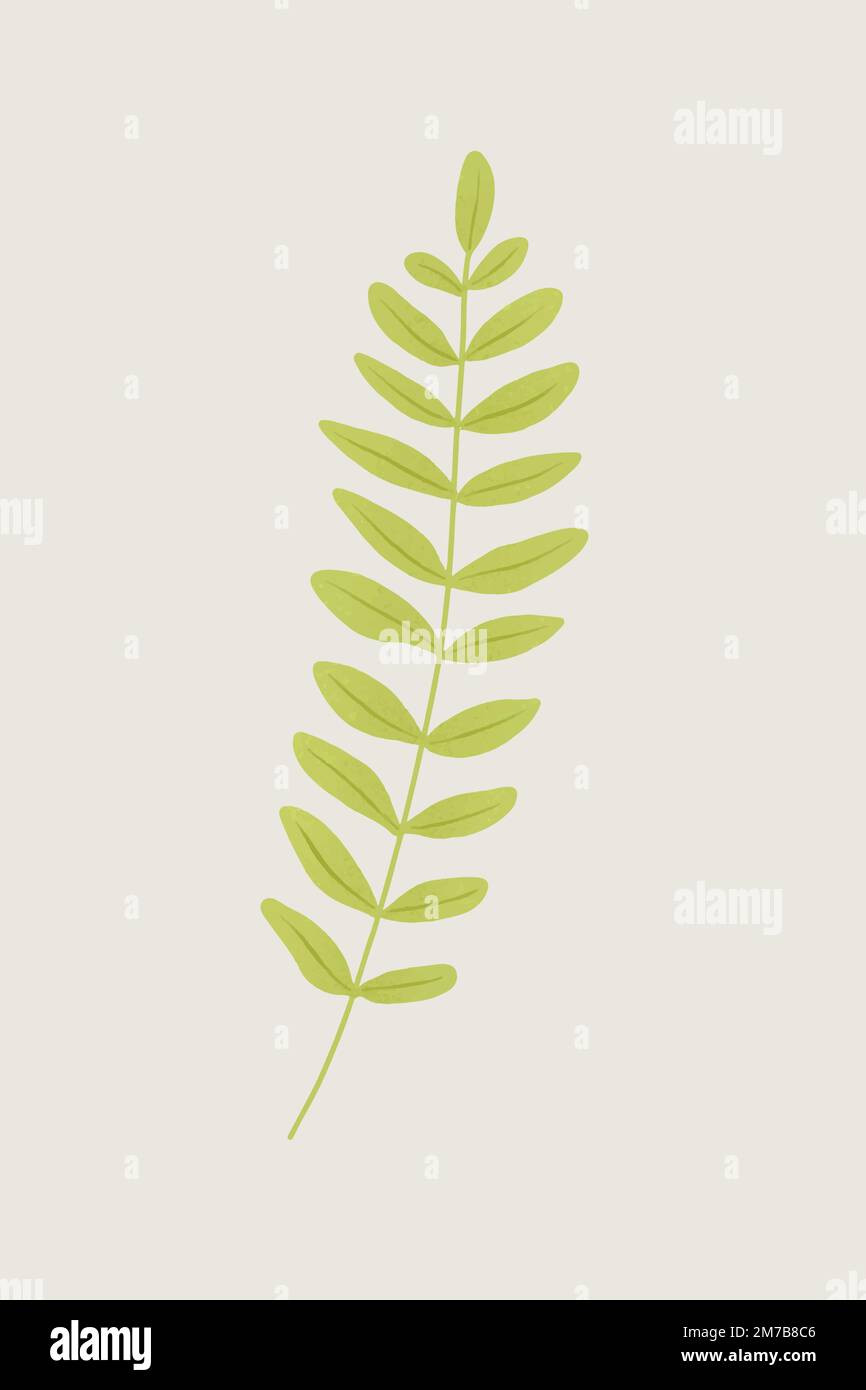 Simple fern leaf Stock Vector Images - Alamy
