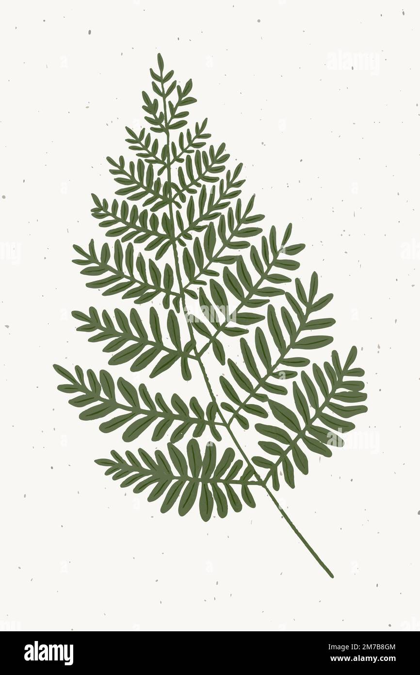 Fern branch design element vector Stock Vector Image & Art - Alamy