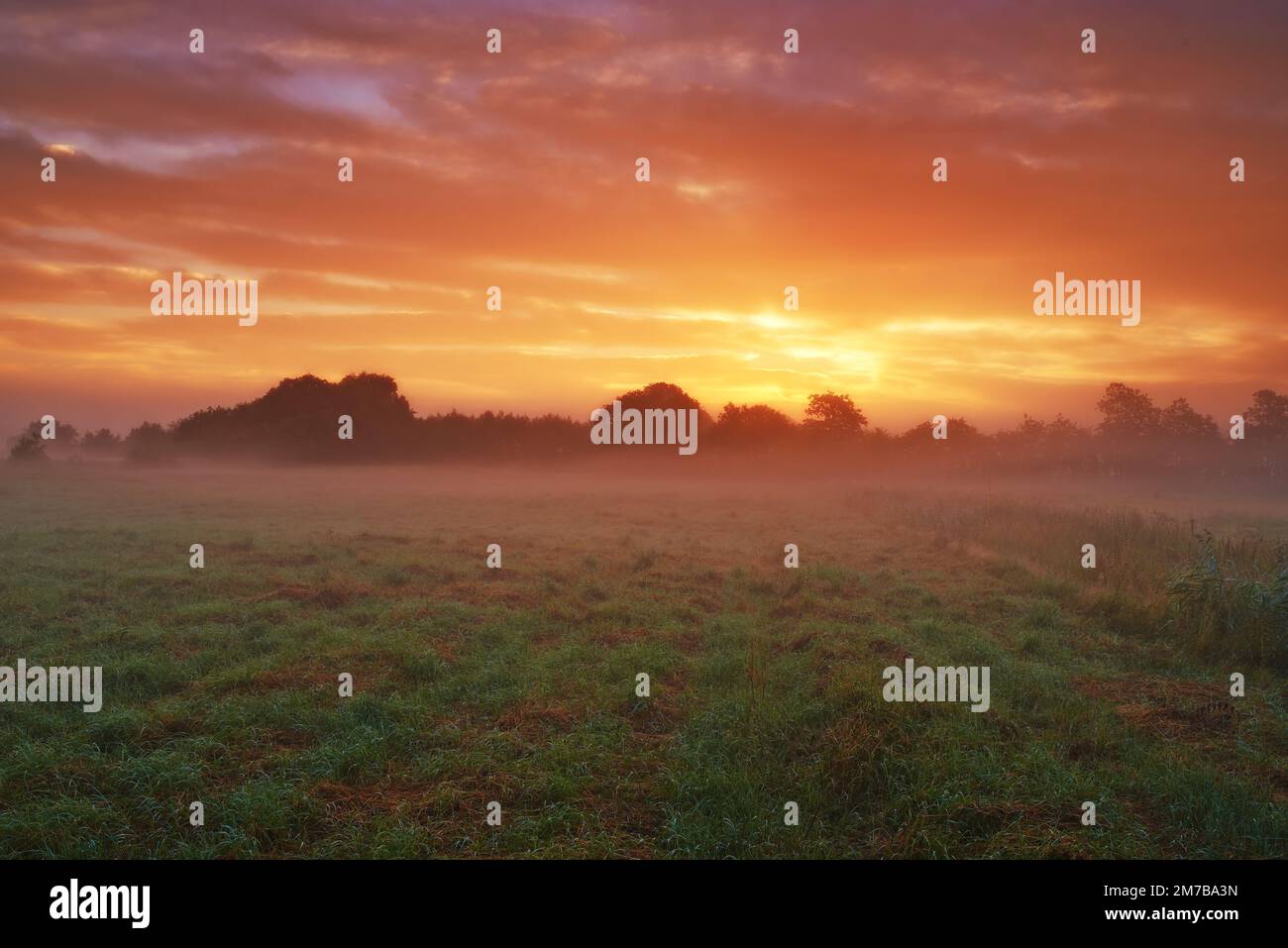 Misty morning on the farm. A misty sunrise over a tranquil farm scene ...