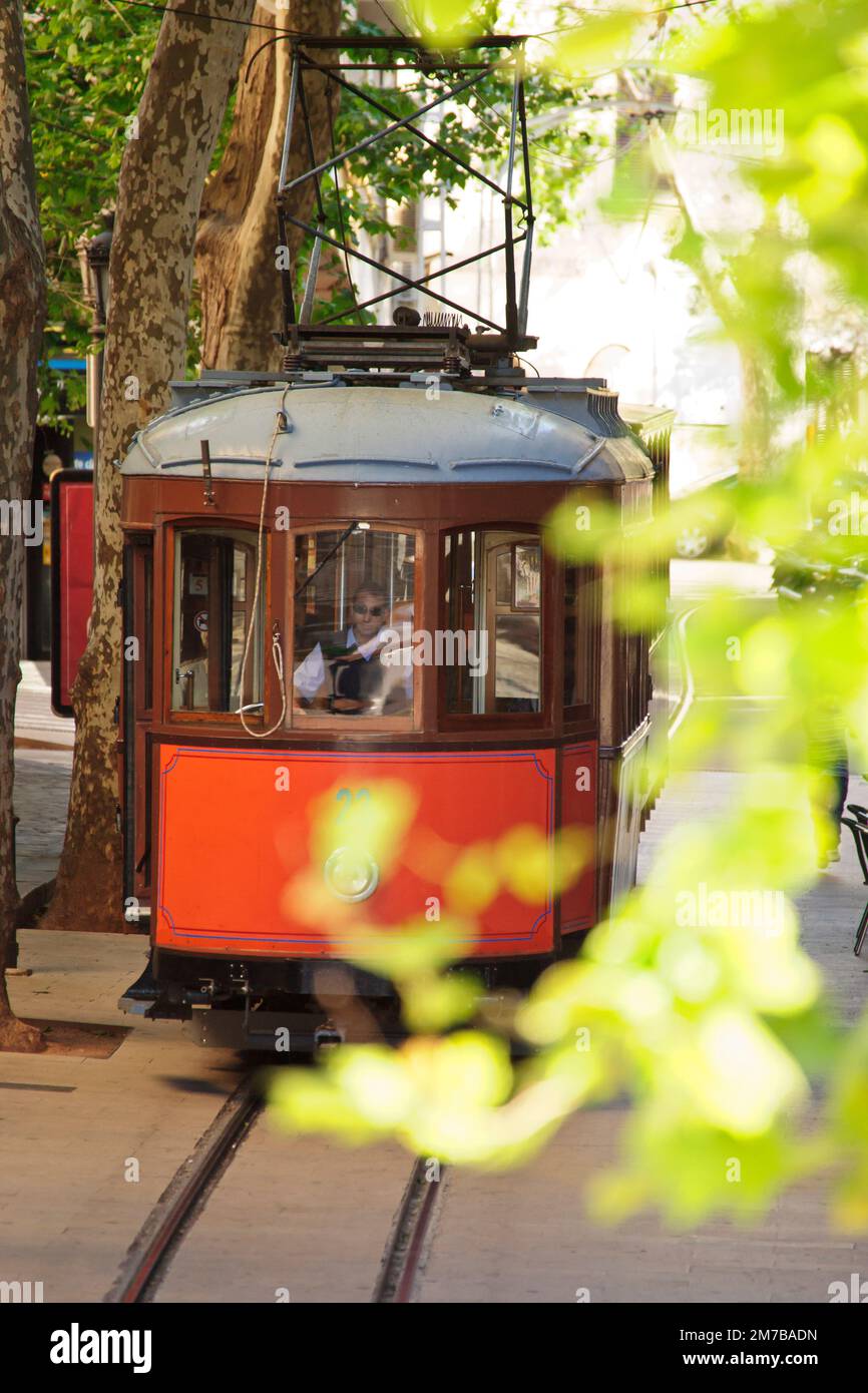 Port tram circulating between trees, Soller.Mallorca.Balearic Islands ...