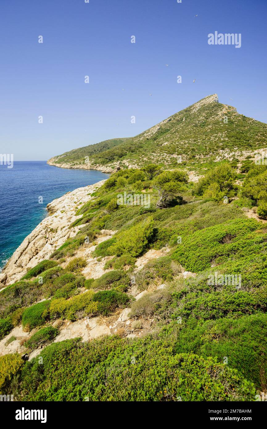 Sa Miranda. Parque natural de Sa Dragonera. Isla Dragonera. Sierra de ...