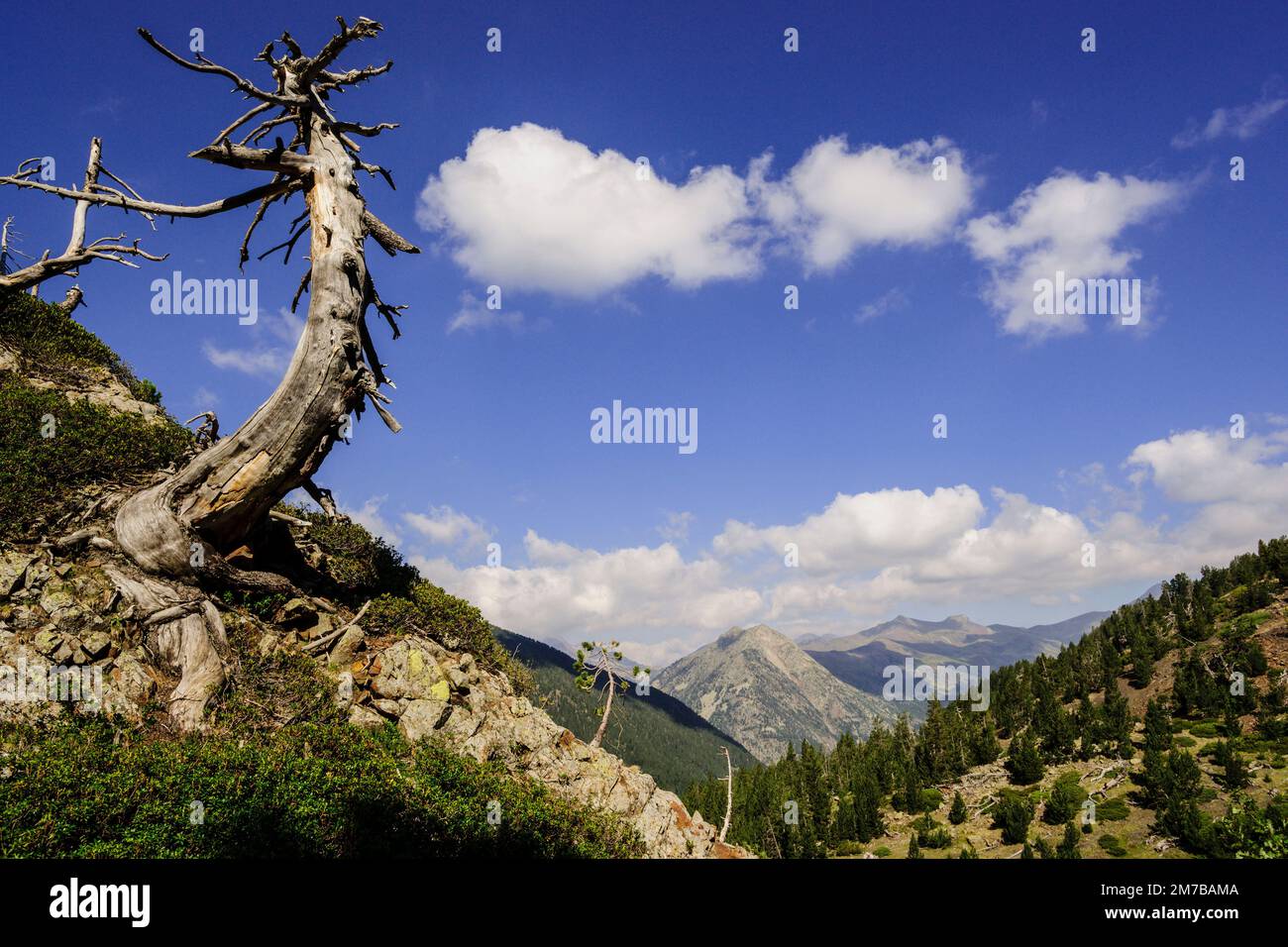 Camino de los Millares, - camino de Eriste -, Valle de Gistaín, Pirineo ...