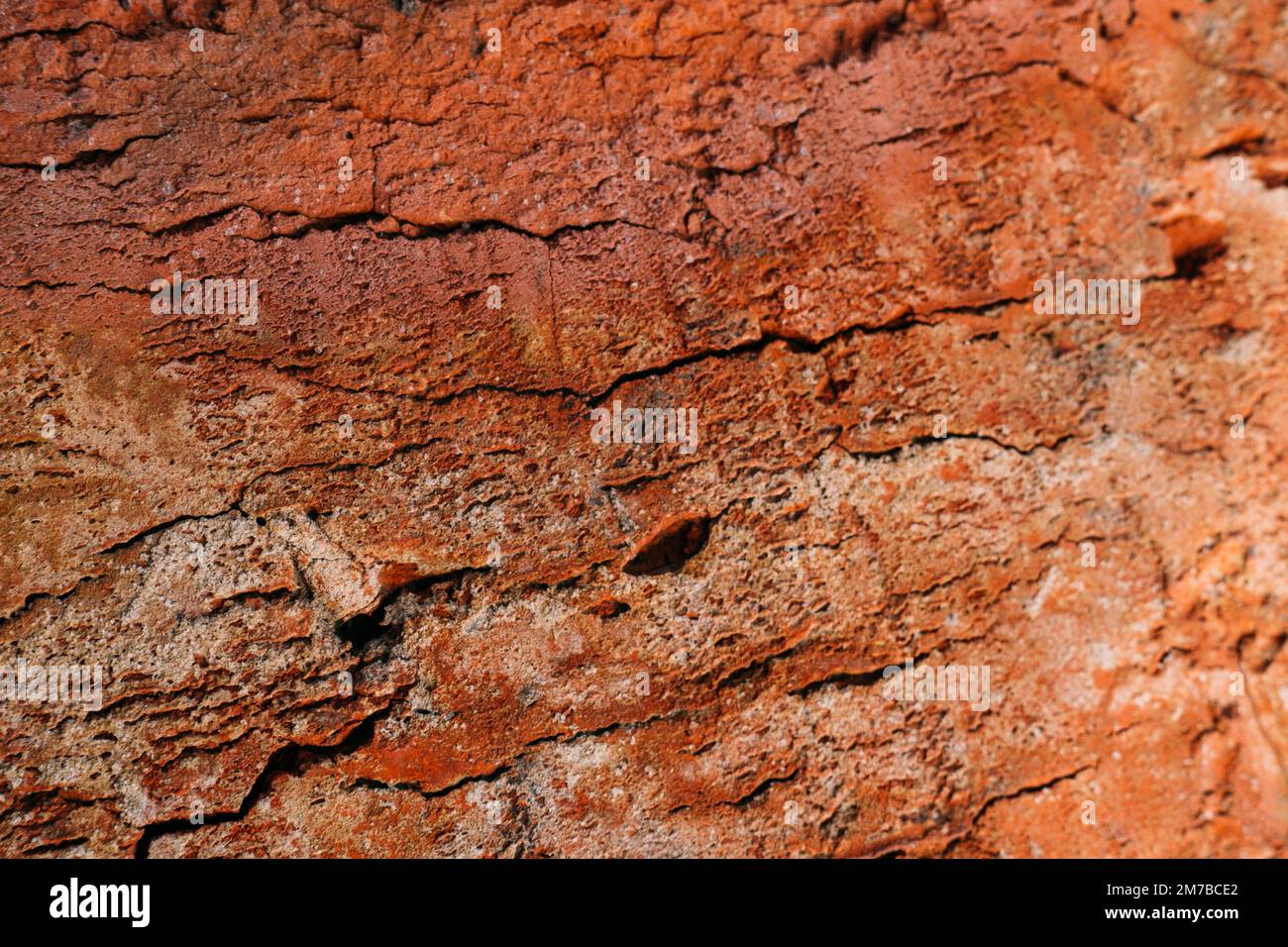 stony background ragged texture macro shooting Stock Photo - Alamy