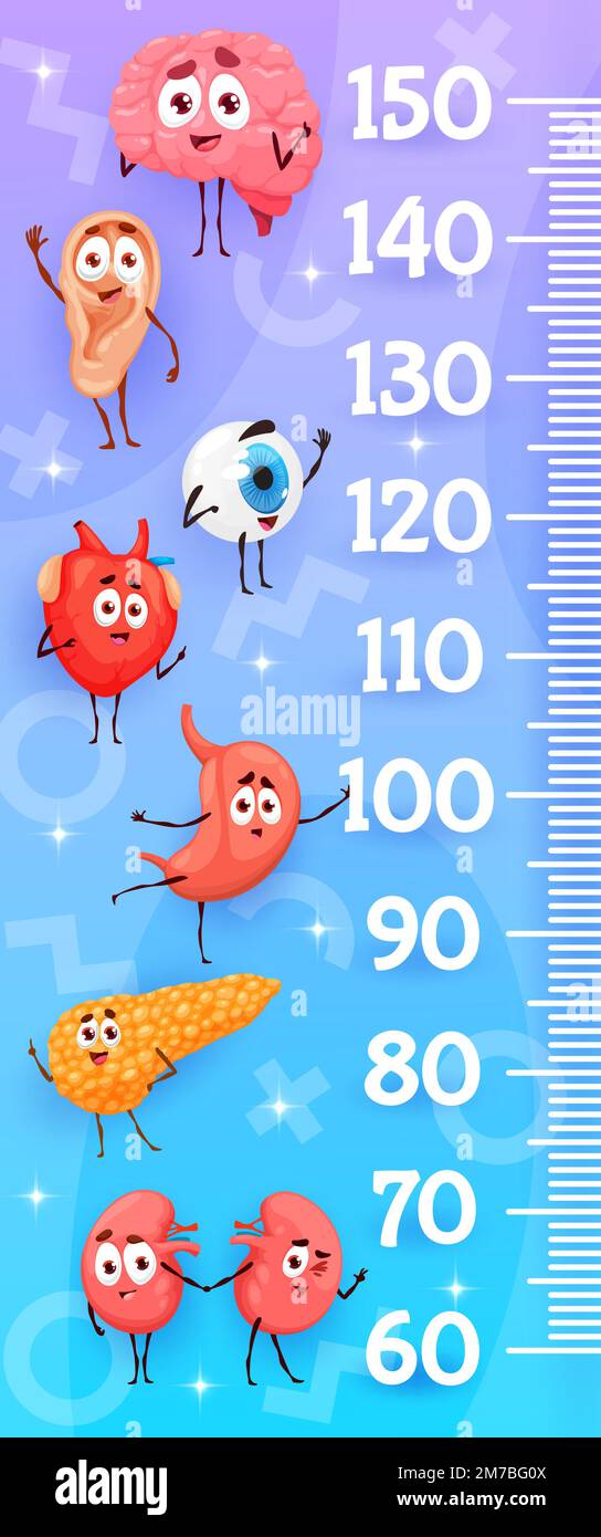 Kids height chart cartoon human organ characters Vector scale with ...
