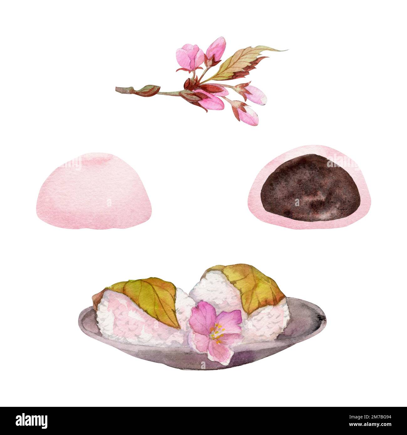 Watercolor hand drawn traditional Japanese sweets. Spring wagashi ...