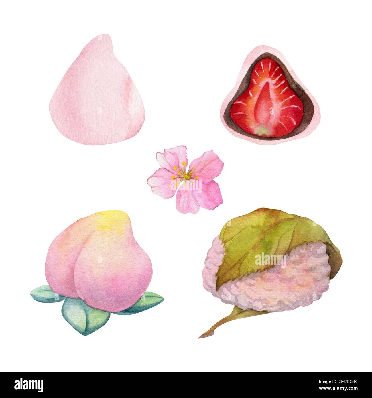 Watercolor hand drawn traditional Japanese sweets. Spring wagashi ...