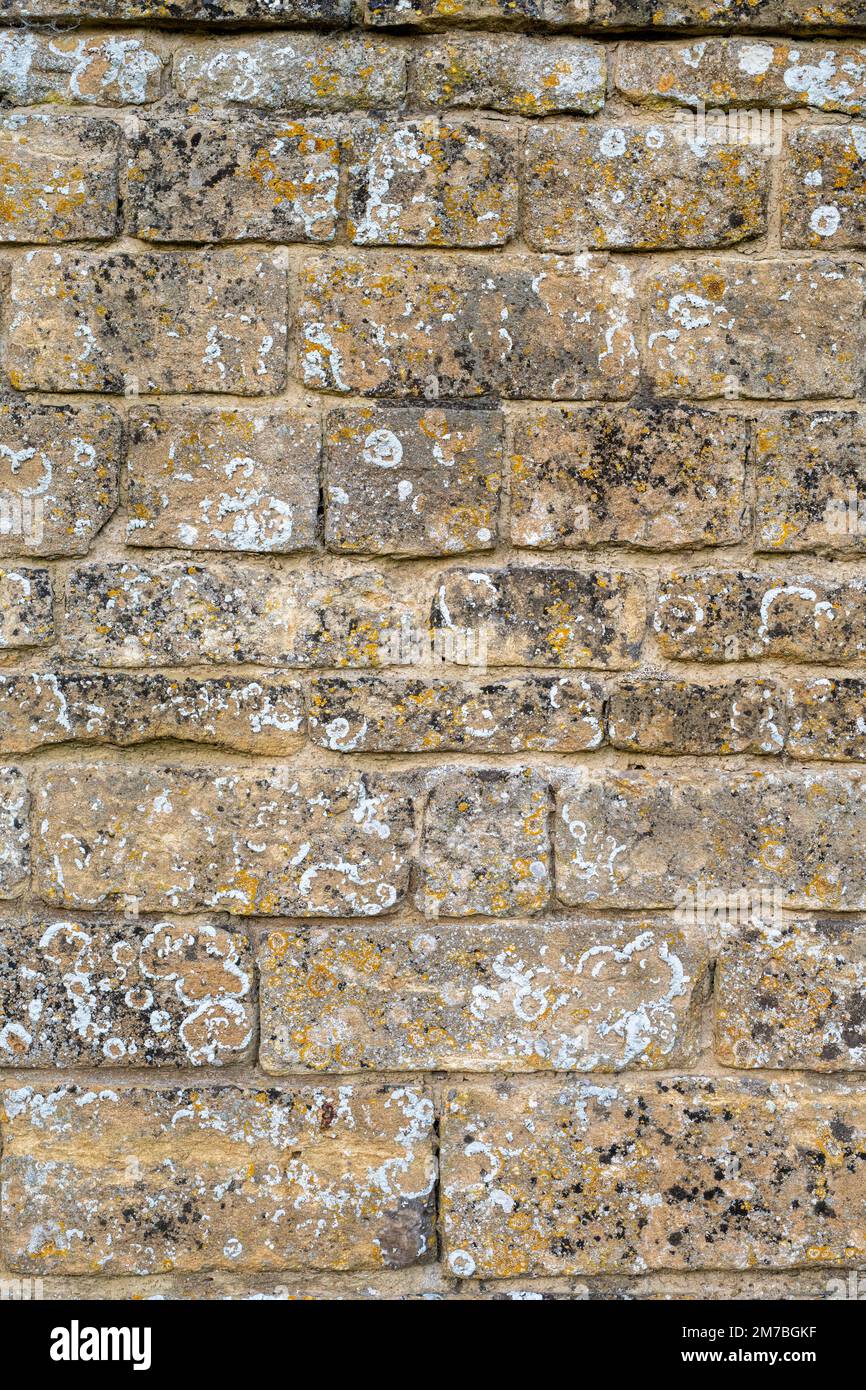 Cotswold stone wall texture hi-res stock photography and images - Alamy