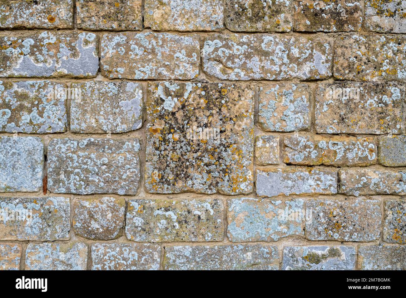 Cotswold stone wall covered in lichen. Cotswolds, England Stock Photo ...
