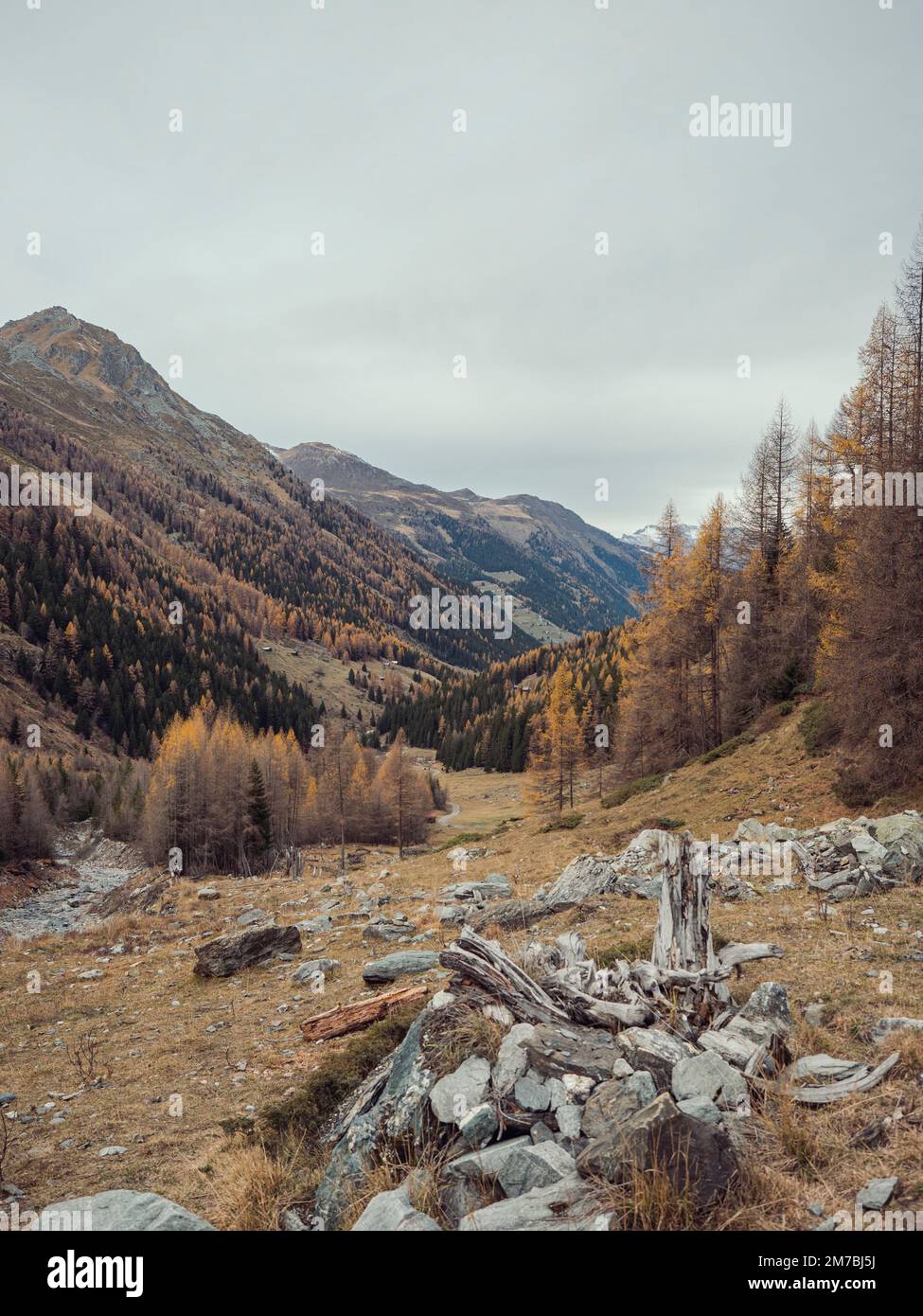 Stunning drone footage of an alpine valley in Autumn with different ...