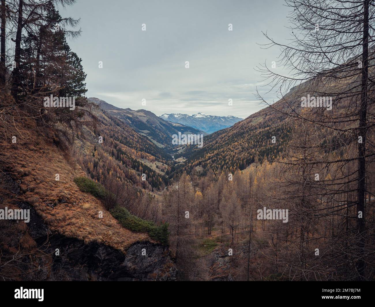 Stunning drone footage of an alpine valley in Autumn with different ...