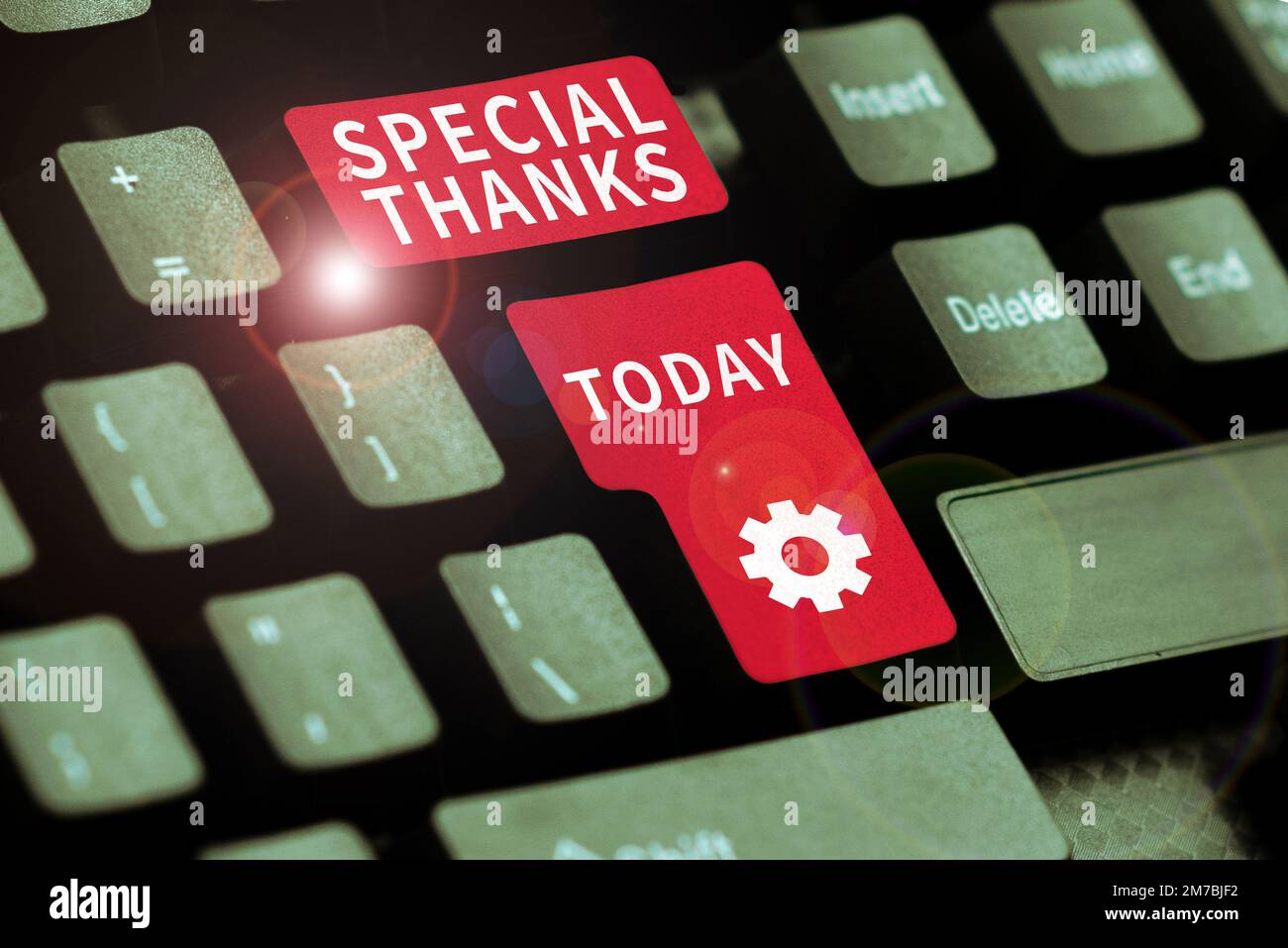 Text caption presenting Special Thanks. Business overview expression of ...