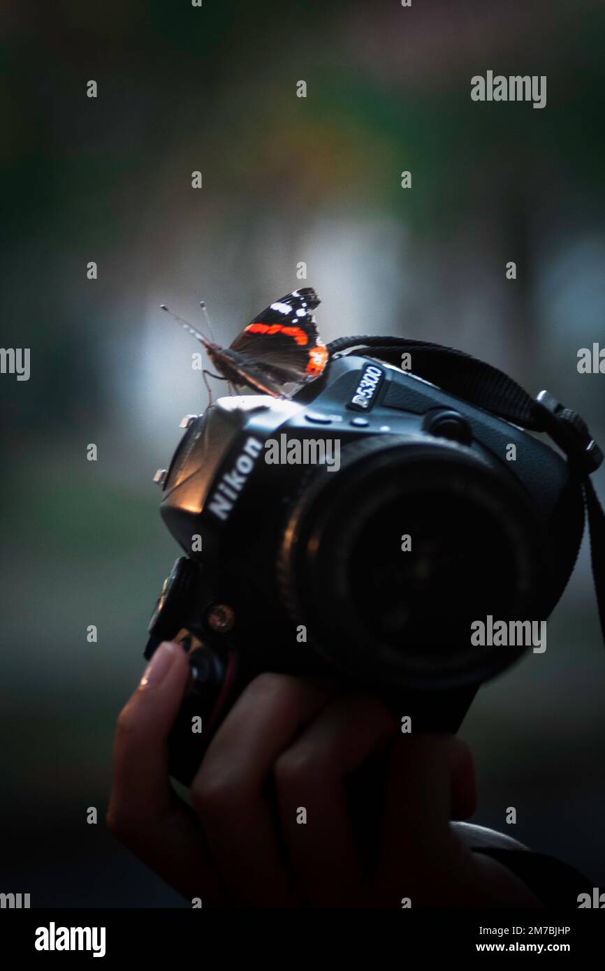 A vertical closeup of a butterfly perched on a Nikon camera on a ...