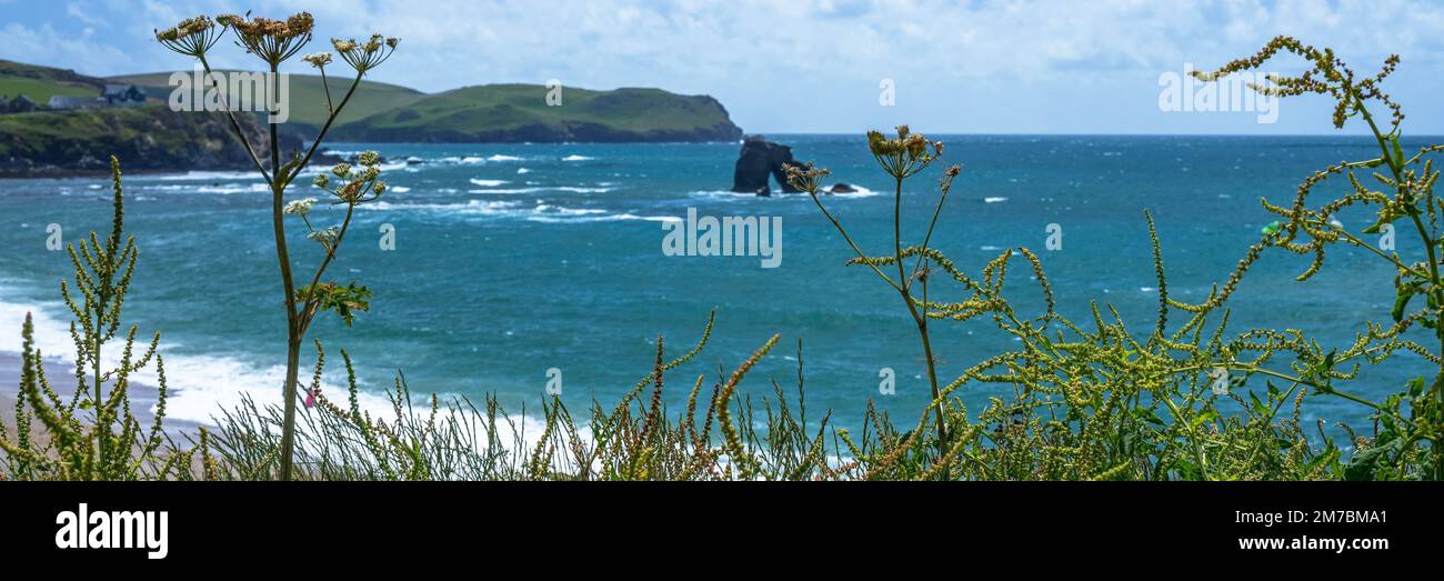 The gem of south devon hi-res stock photography and images - Alamy