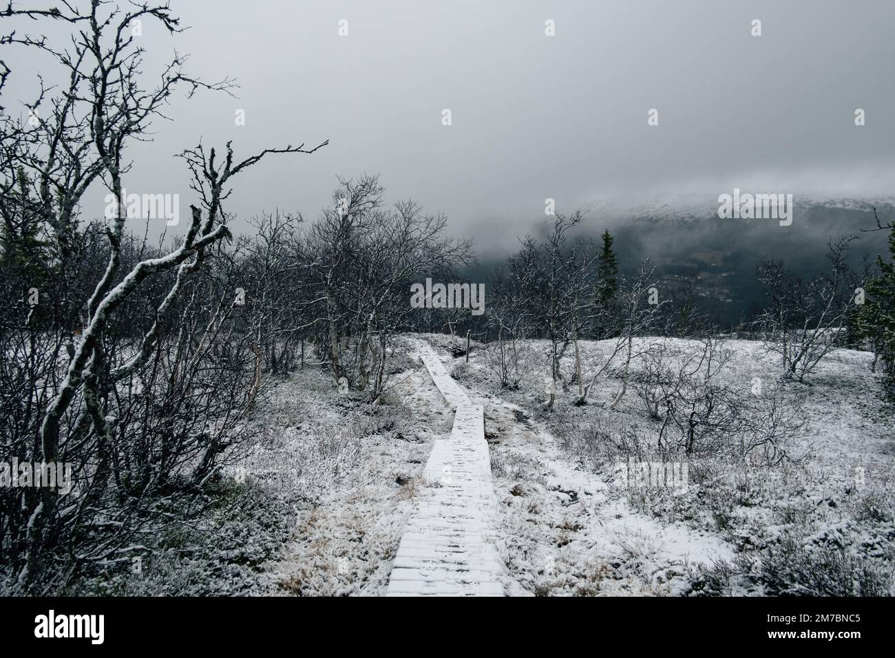 dark moody foggy landscape, path in Norwegian mountain to the top of ...