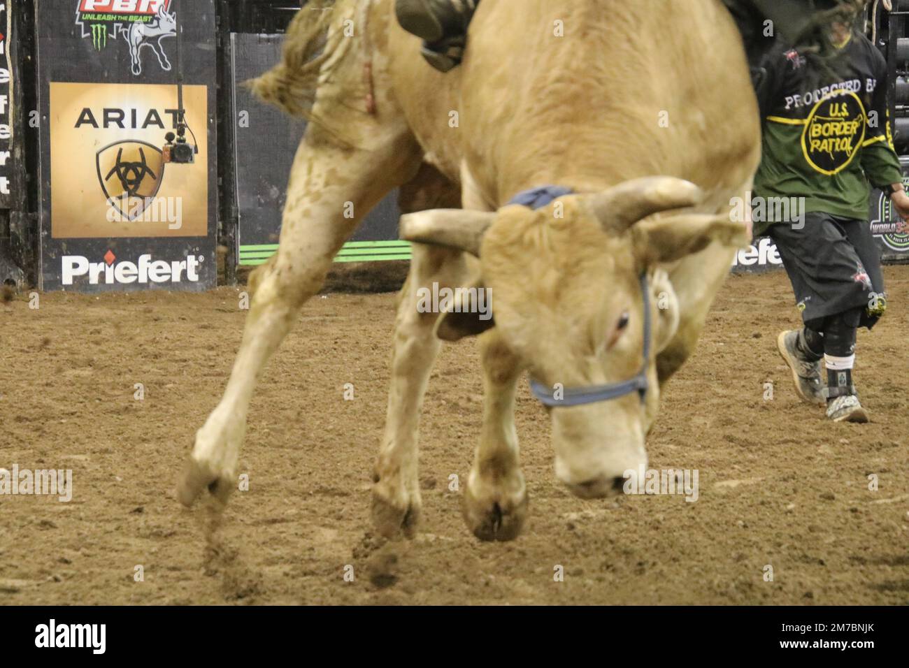 New York, USA. 08th Jan, 2023. The 2023 Professional Bull Riders ...