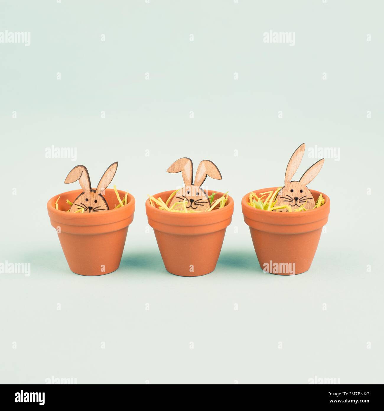 Cartoon flower pot hi-res stock photography and images - Alamy