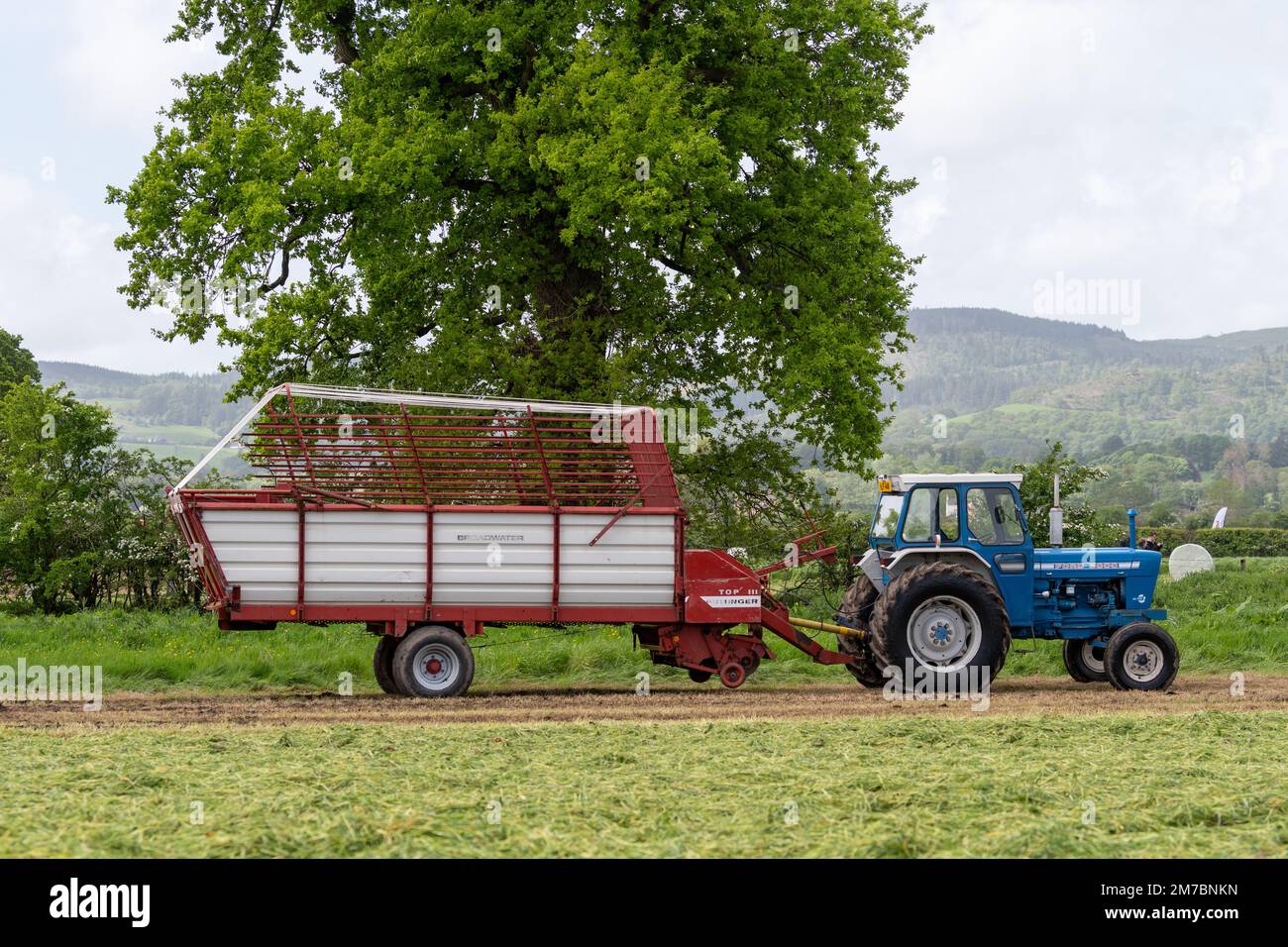 Ford 5000 vintage tractor with a Pottinger self filling forage trailer ...