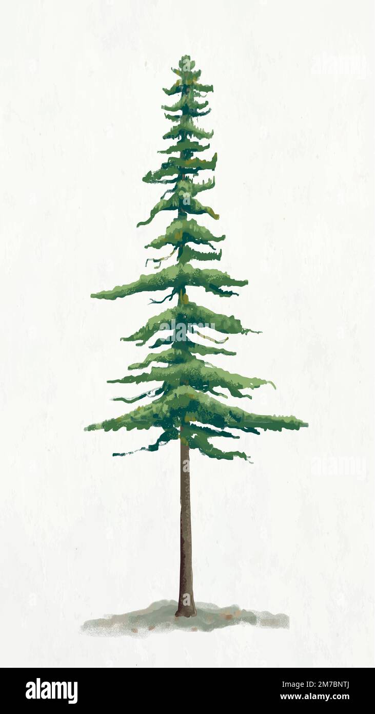 Pine tree element graphic vector on plain background Stock Vector Image ...