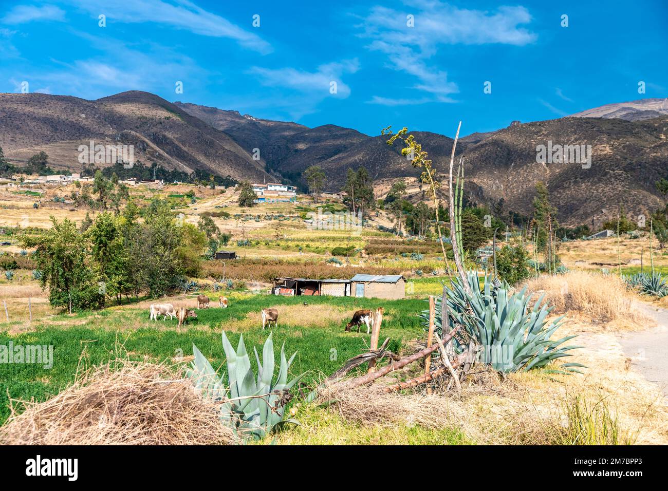 house in the Peruvian Andes of South America Stock Photo - Alamy