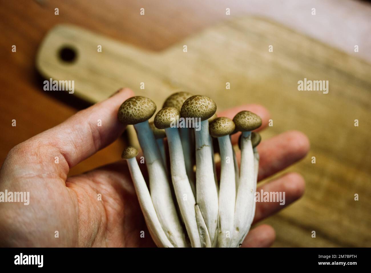Shimiji mushrooms hi-res stock photography and images - Alamy